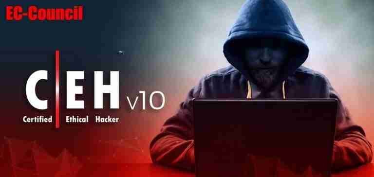 20 Best Websites to Learn Ethical Hacking for Beginners